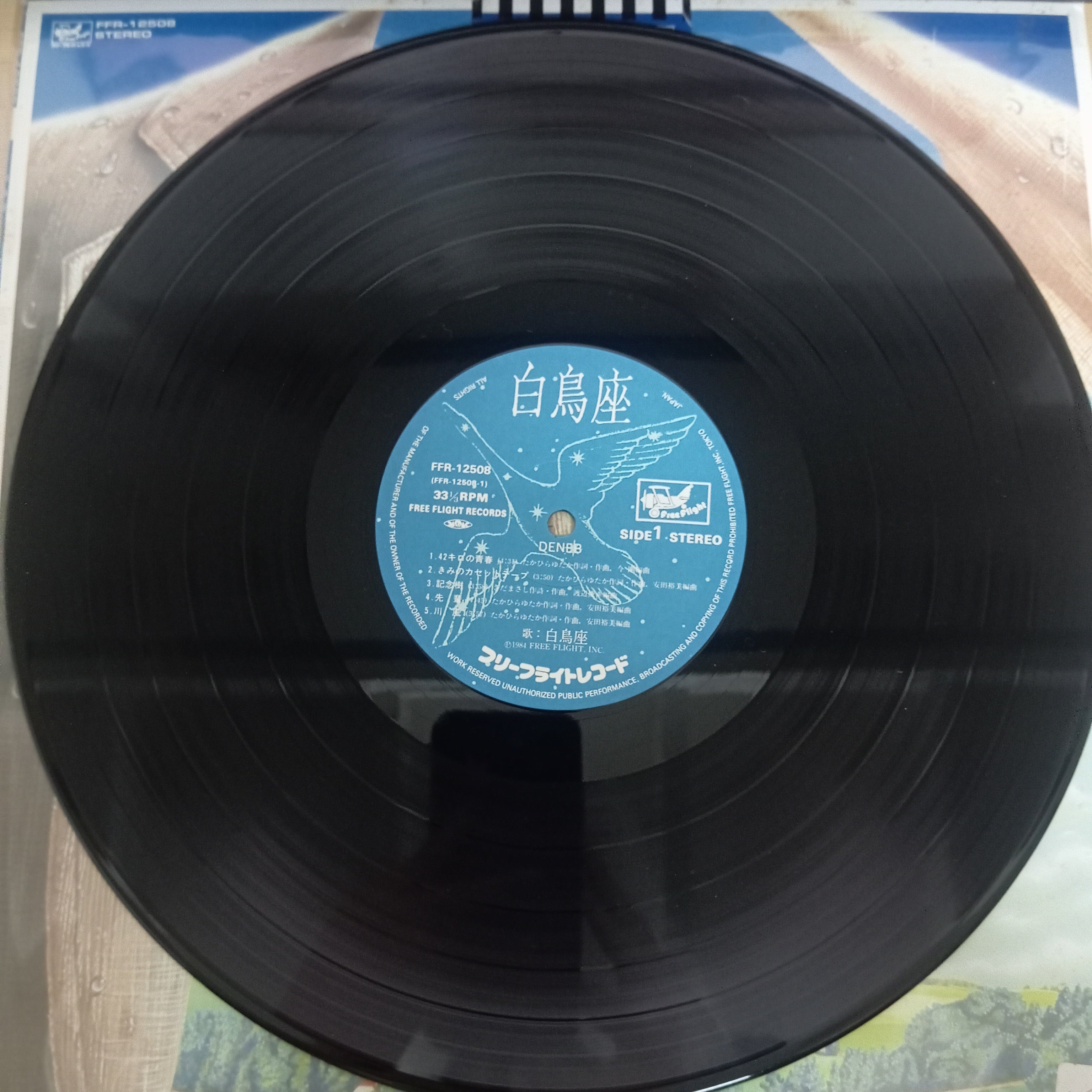 ส่งฟรี* 白鳥座 : DENEB (Vinyl) ที่ Restory Music แหล่งรวมซีดี แผ่นเสียง ...