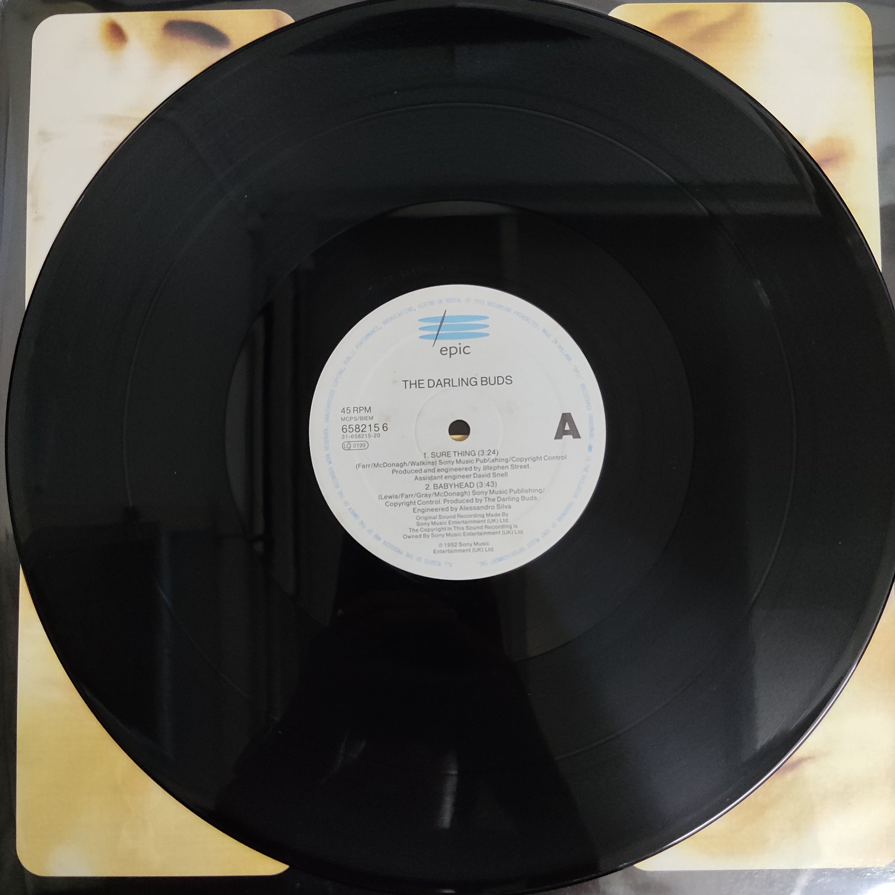 ส่งฟรี* The Darling Buds : Sure Thing (Vinyl) ที่ Restory Music แหล่ง ...